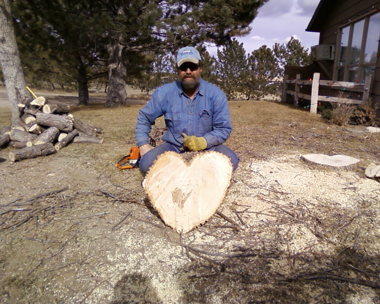 About Us - Russell's Tree Service